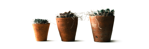 All You Wanted to Know About Growth Driven Design